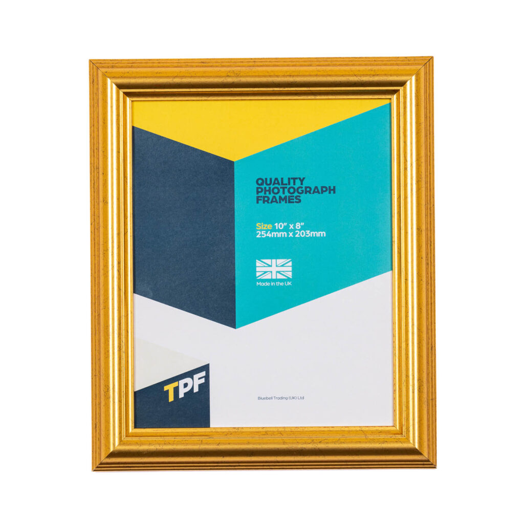 Pinstripe Gold | D5 - Trade Picture Frames